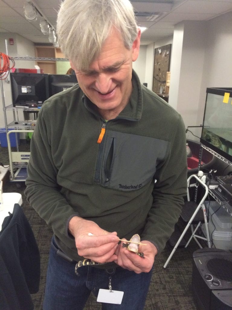 A Visit from the Vet