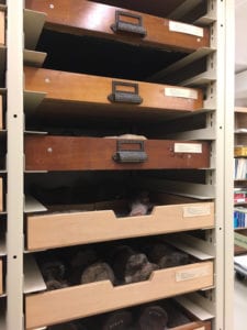 Old and new specimen drawers