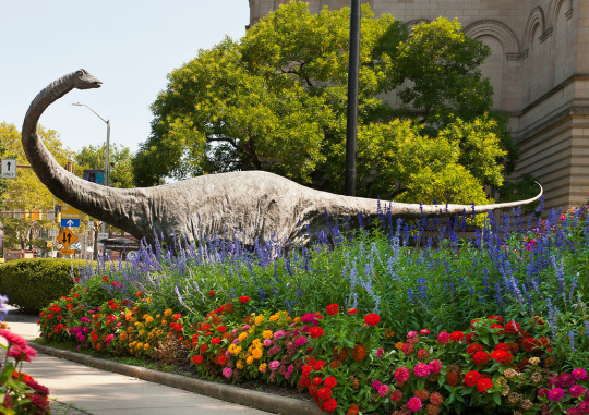 Celebrating Dippy! - Carnegie Museum of Natural History