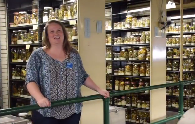 Ask a Scientist: What is inside the Alcohol House? - Carnegie Museum of ...
