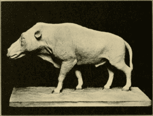 Dinohyus: “Terrible Pig” in More Ways Than One