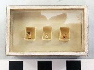 Dressing Fleas