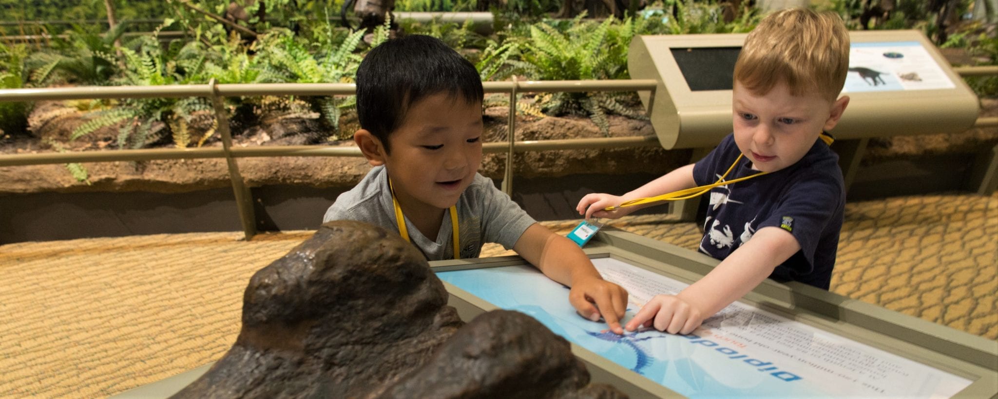 Programs at the Museum