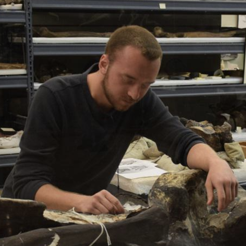 Vertebrate Paleontology