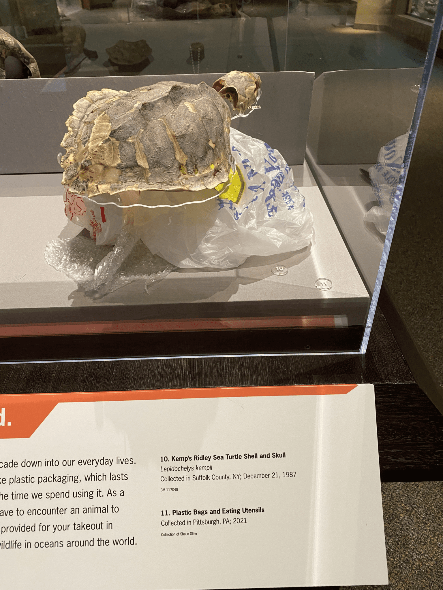 Anthropocene Studies