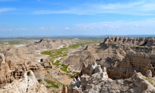 Blog - Carnegie Museum of Natural History