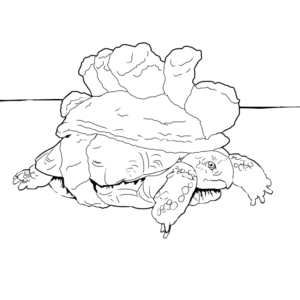 Booseum: Spooky Coloring Pages!