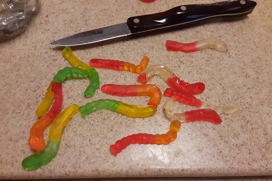 Booseum: Wiggly Worms Activity - Carnegie Museum of Natural History