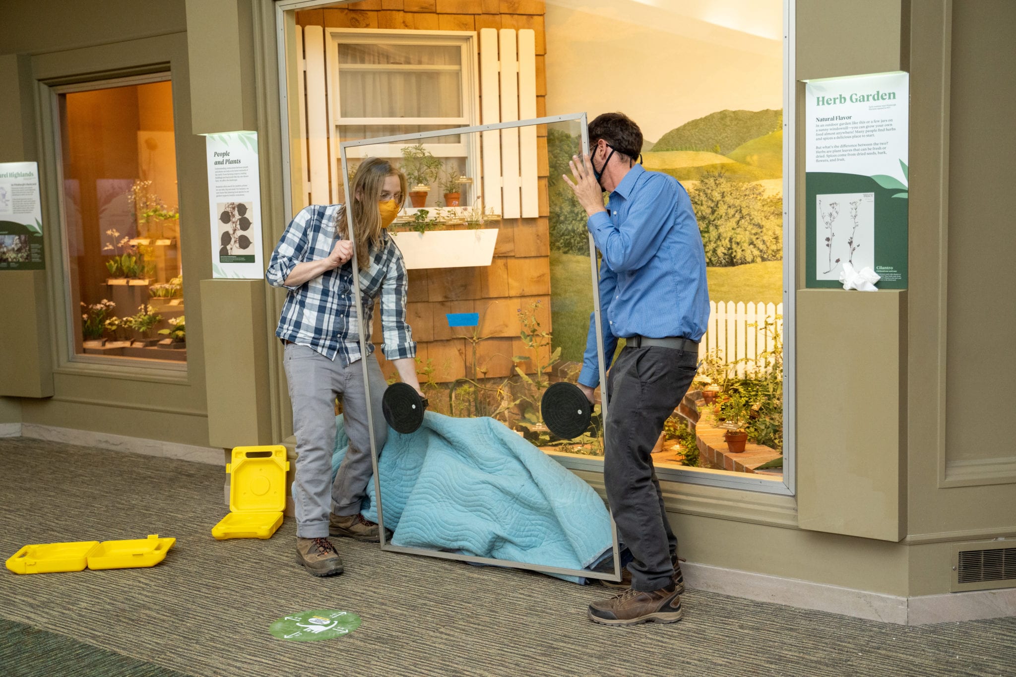 Carnegie Museum of Natural History to Unveil Hall of Botany Renovations ...