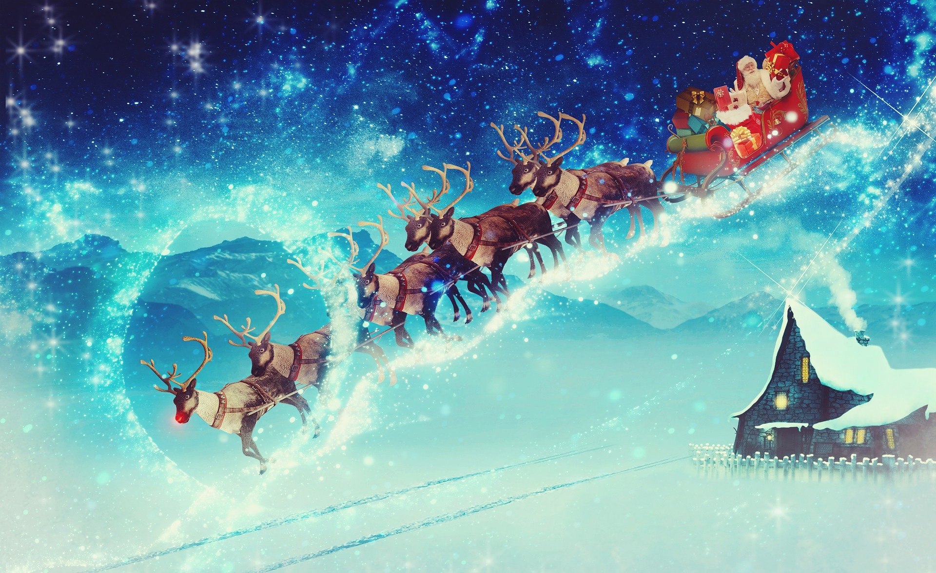 Ruthie the Red-Nosed Reindeer: The Natural History Behind Some Classic ...