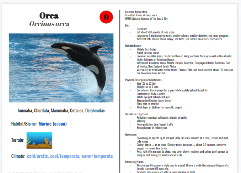 March Mammal Madness and Middle School Science Class