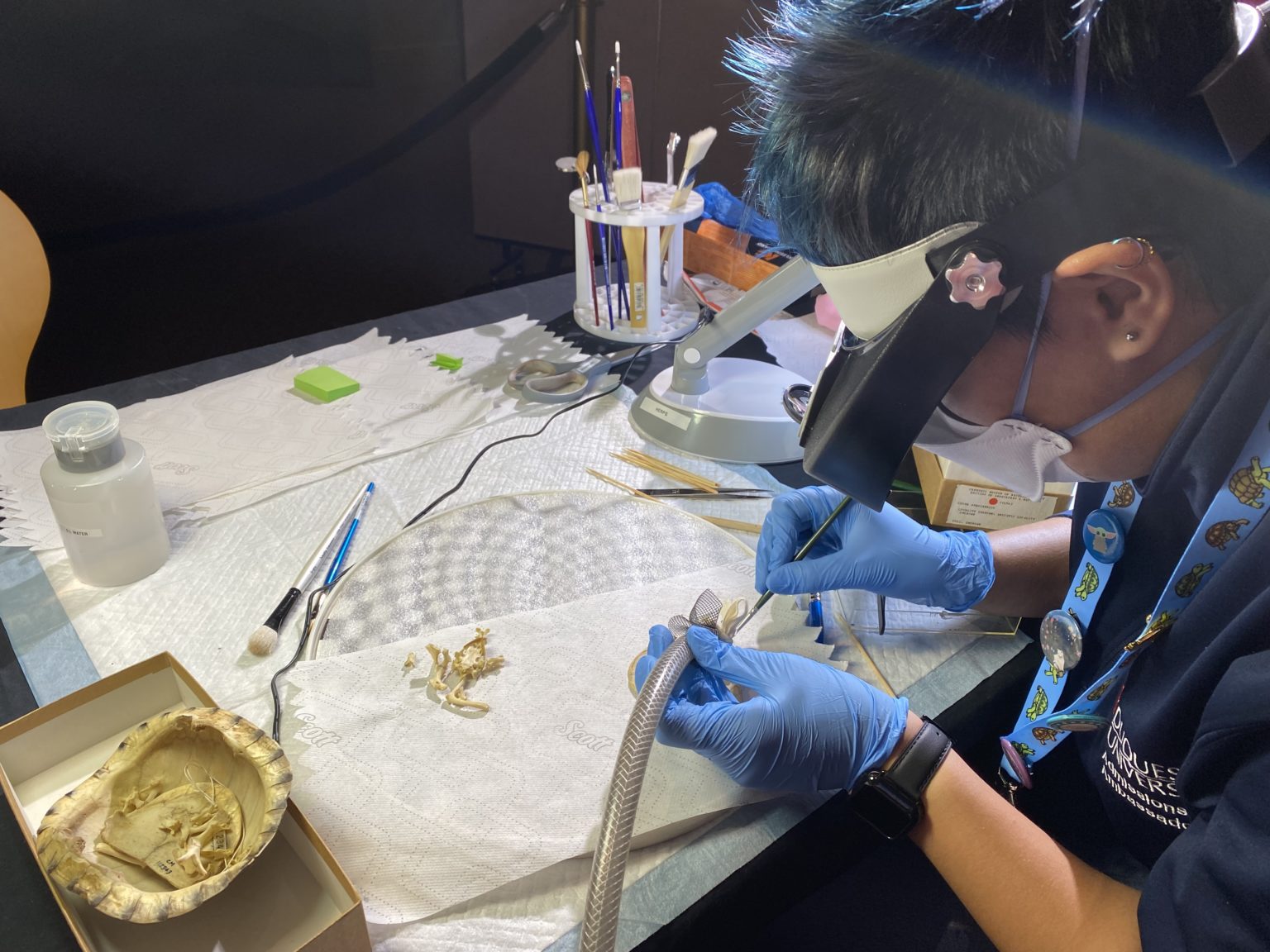Reptiles, and Amphibians, and Bones? Oh My!