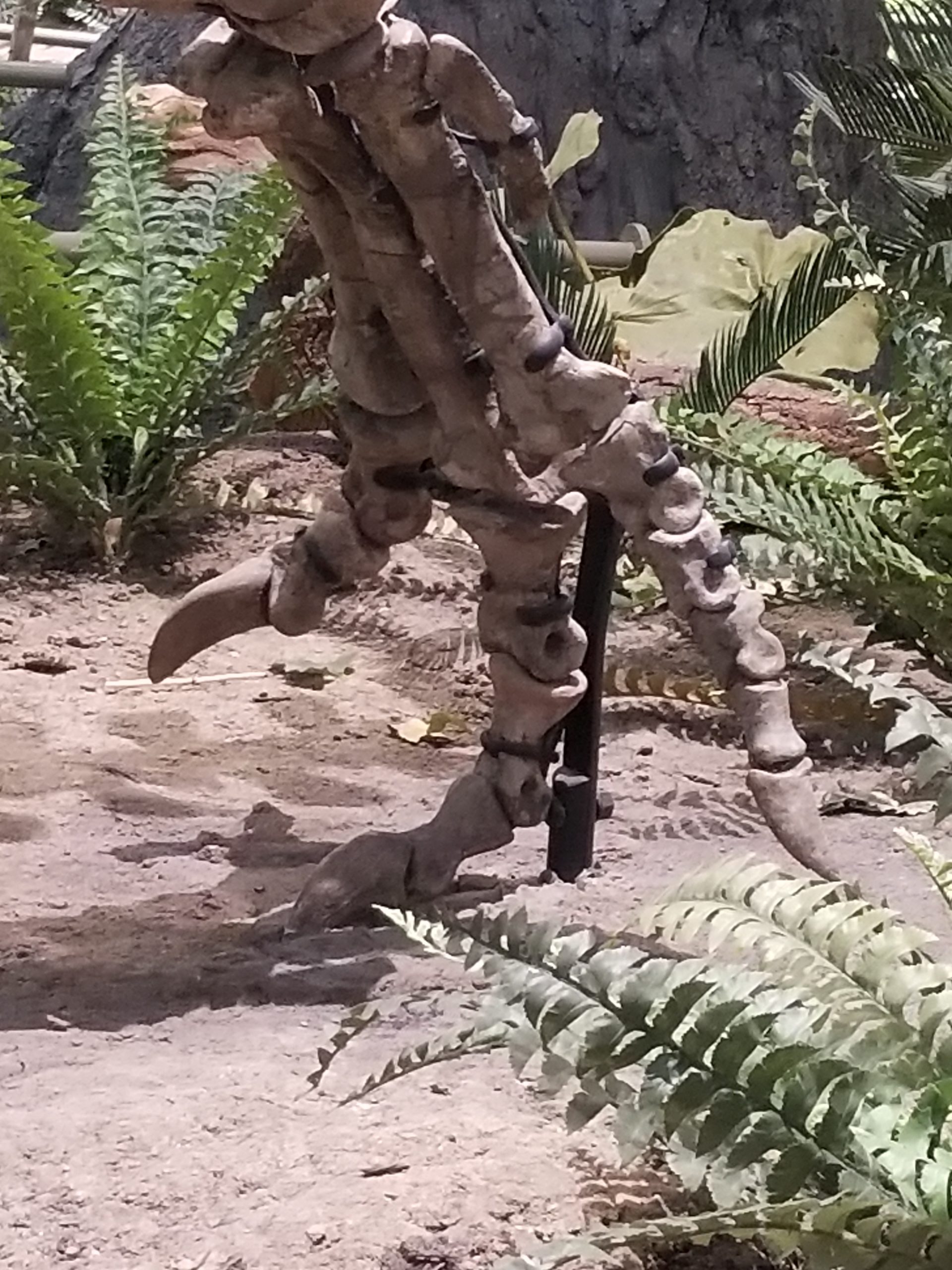 Stepping Back in Time