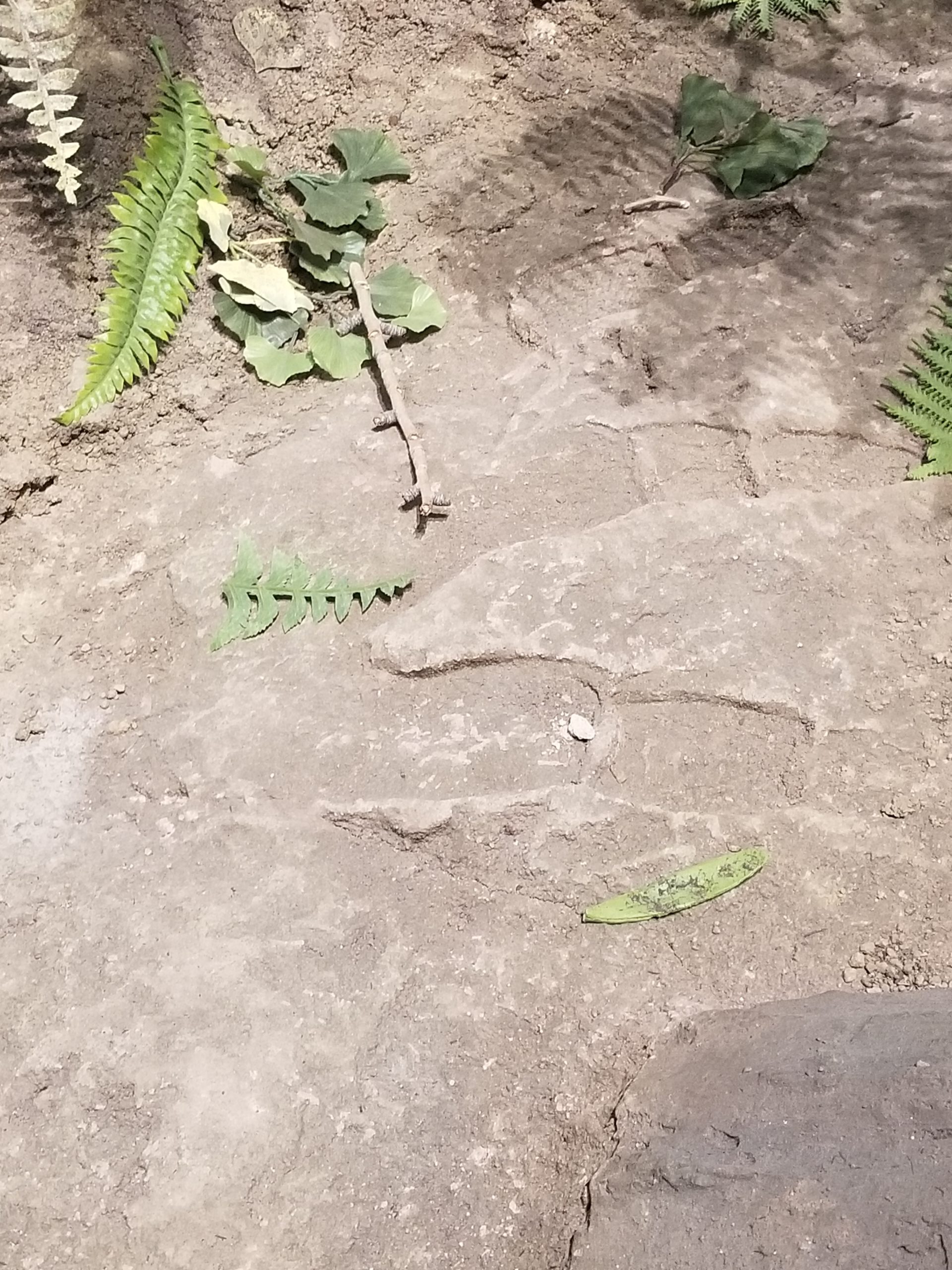 Stepping Back in Time