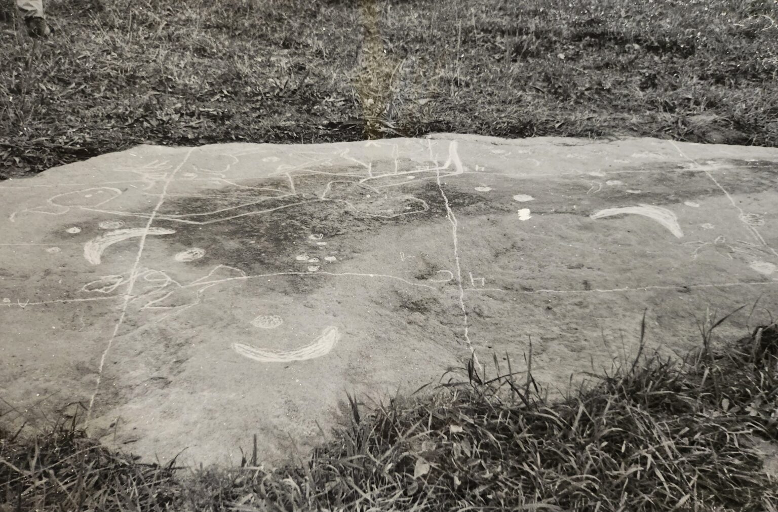 New Vision of Old Rock Art