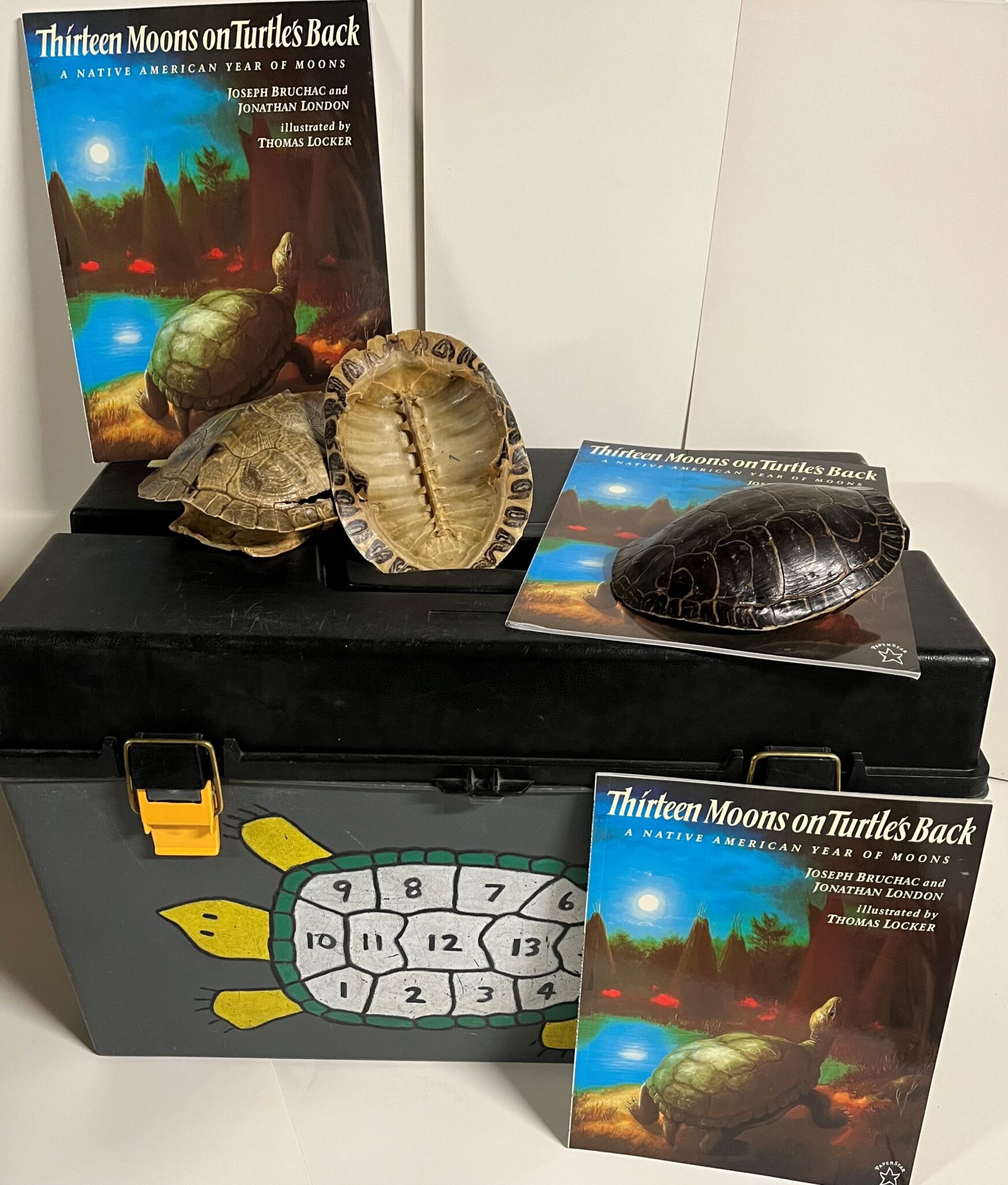 Turtle-Centered Learning