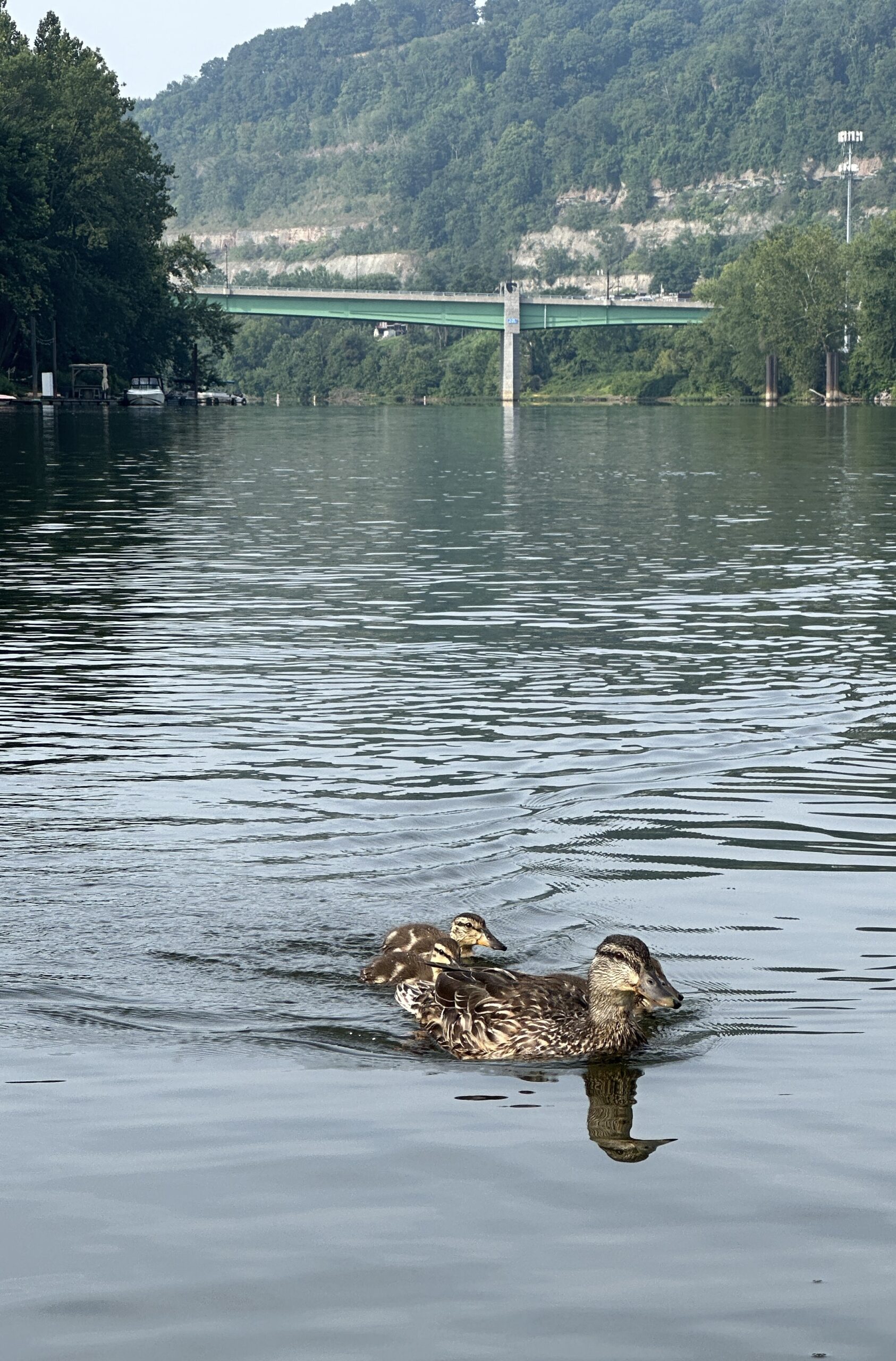 A Three Rivers Waterkeeper Biocube