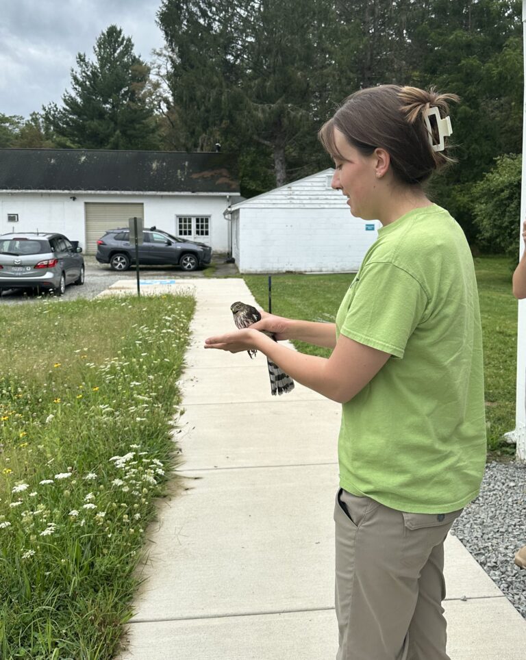 A Year in Review: Bird Banding 2023