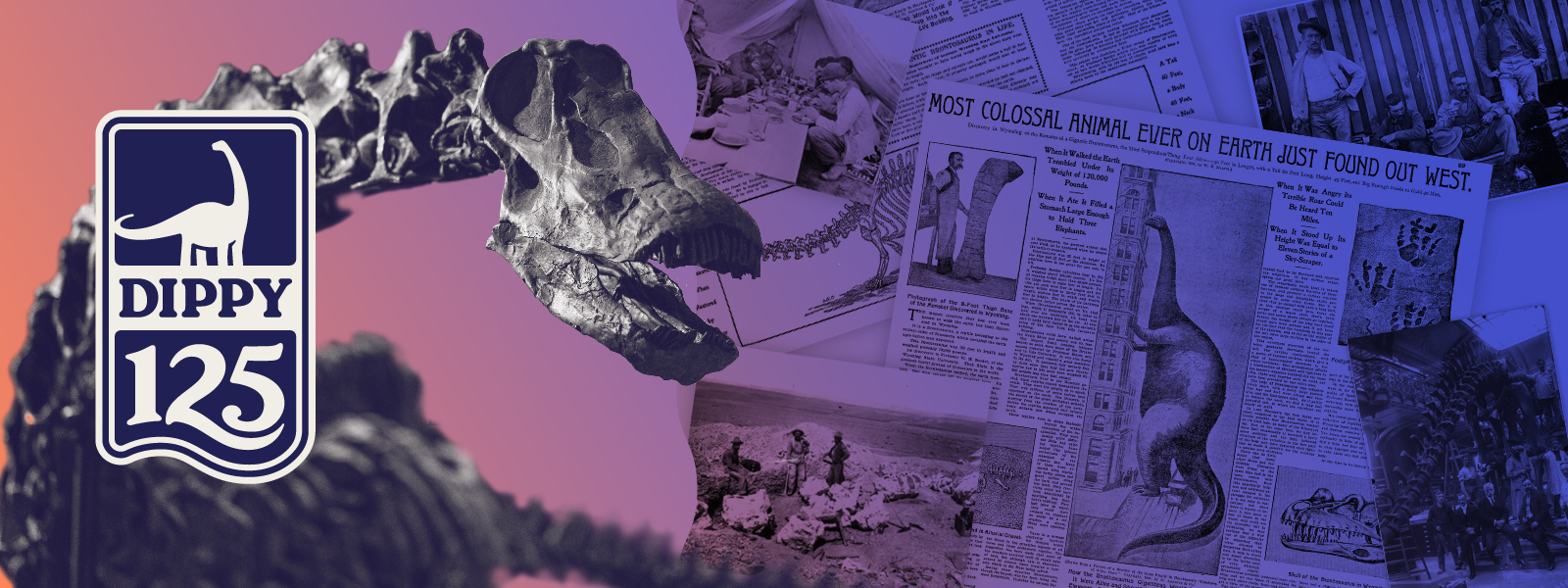 Celebrate 125 Years Since the Discovery of Dippy with Carnegie Museum ...